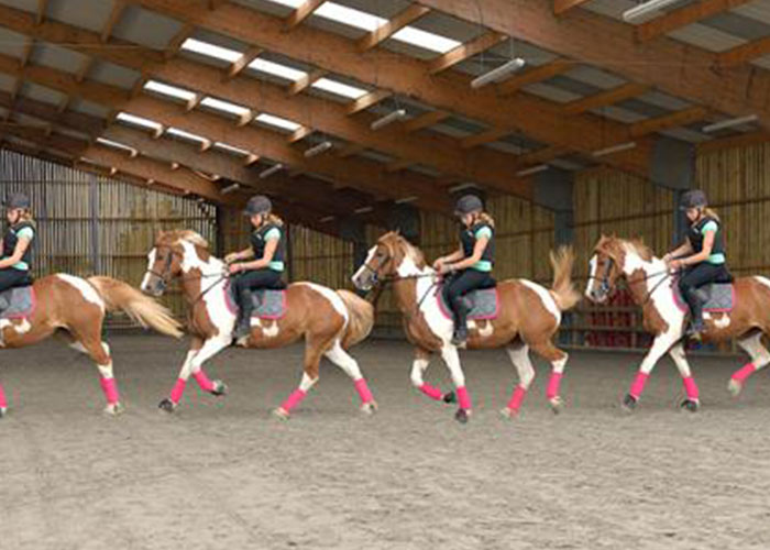 Soins cheval Villeneuve-Loubet, Cagnes-sur-Mer